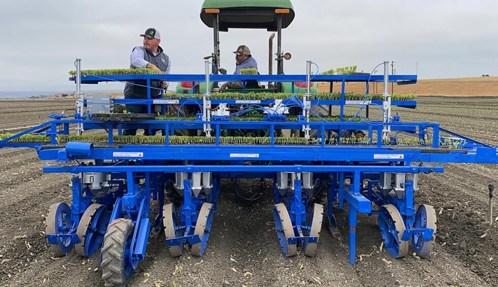 Growers Transplanting Inc | Products